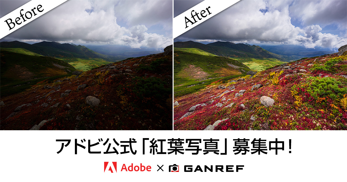 「紅葉写真」の悩みをRAW現像で解決！写真家 福田健太郎の“仕上げ方”| GANREF